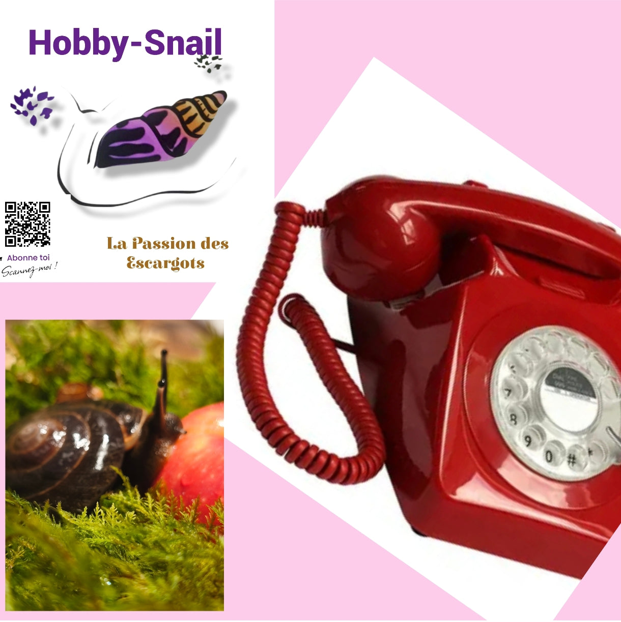 Hobby snail